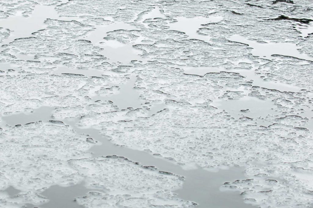 Cluster Archives - Page 7 of 26 - Discovering the Arctic